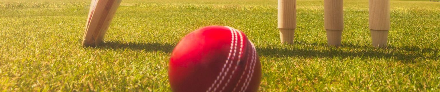 Where Can I Find Cricket Datasets Open for All? - Mad About Sports