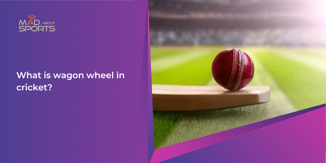 What is wagon wheel in cricket? - Mad About Sports